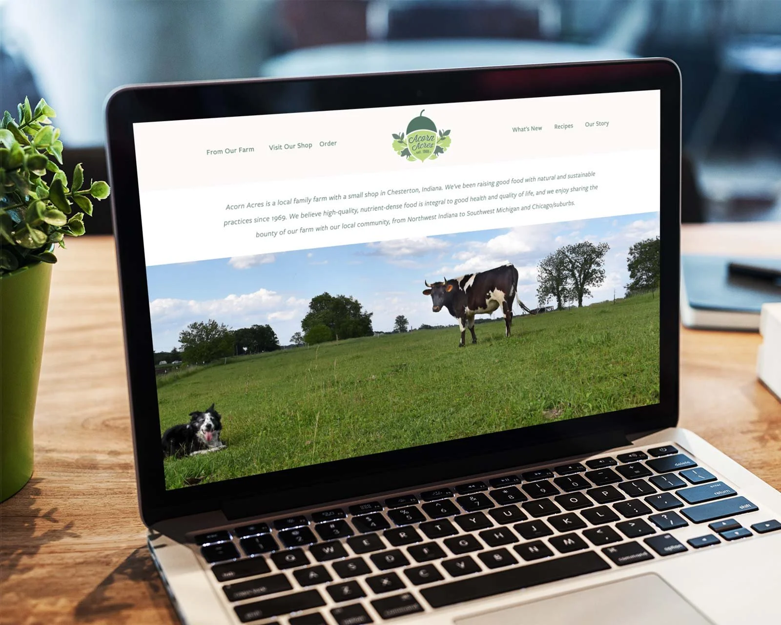 Website for Acorn Acres Farm — Grapevine Local Food Marketing