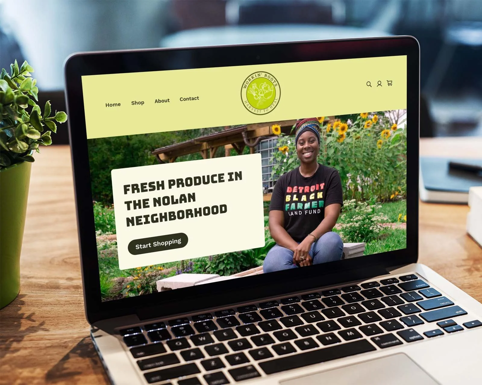 Grapevine Local Food Marketing - Farm Websites & Farm Marketing