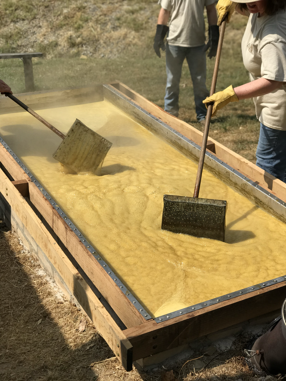 Sorghum — Tarwater Farm & Mills