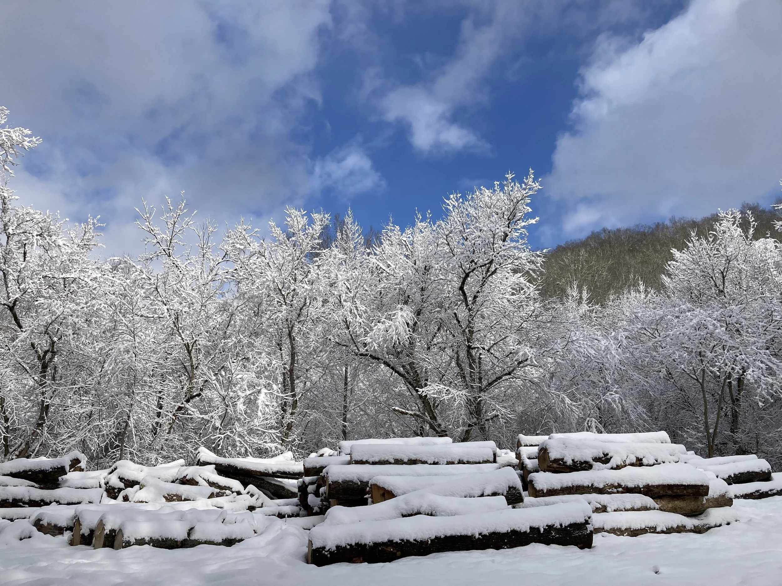 Tarwater Farm & Mills