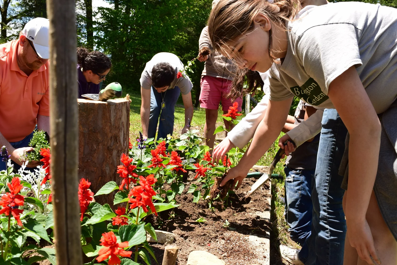 OUR PROGRAMS — BULLINGTON GARDENS
