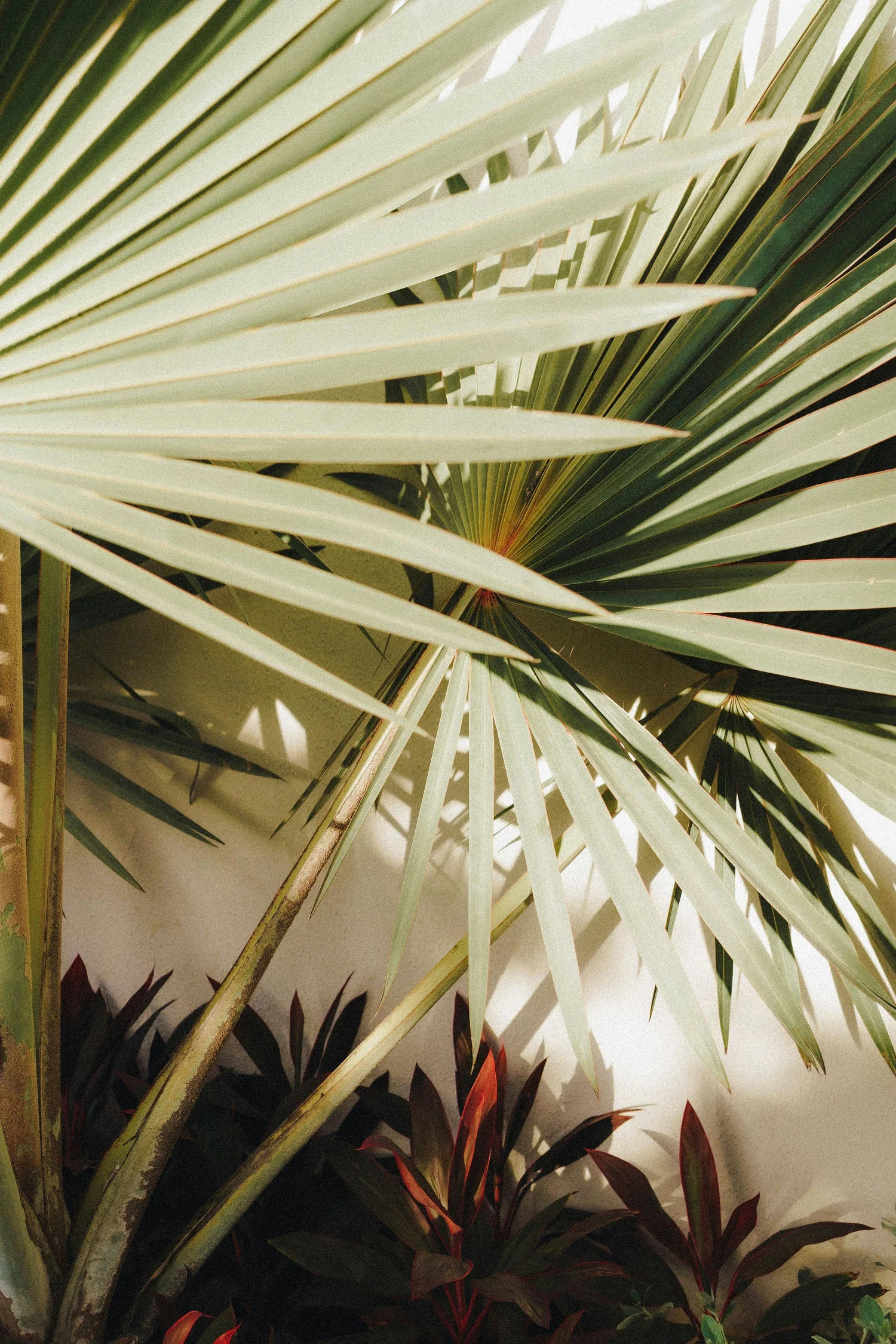 Courtside — JZ Creative Space