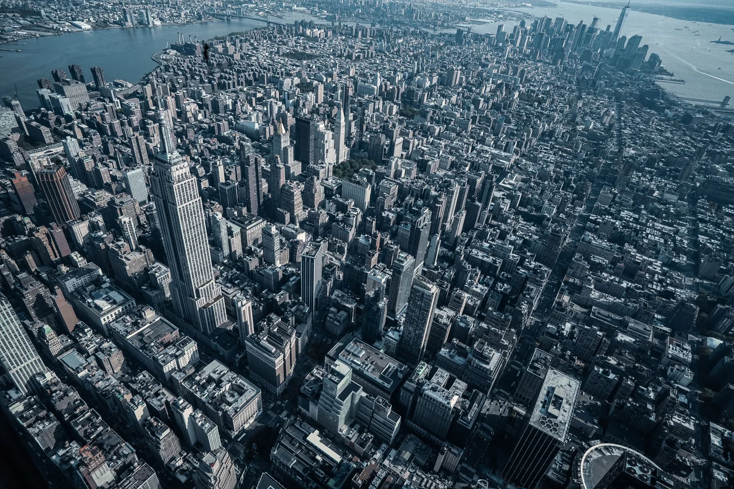 Thalo Labs | Reduce Carbon Emissions