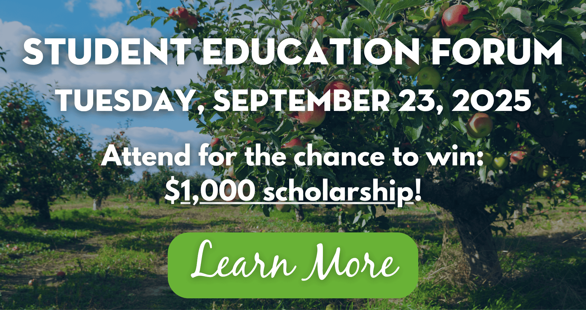 Best Credit Union in Grand Junction & Fruita — Coloramo FCU