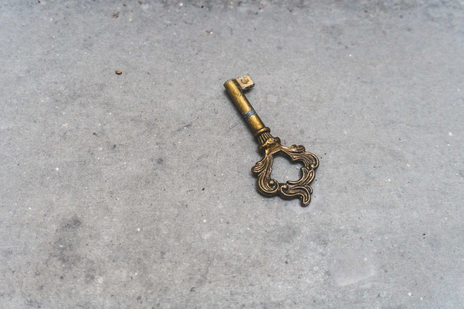 Marjane Satrapi Persepolis Teaching Resources — Teacher Comp