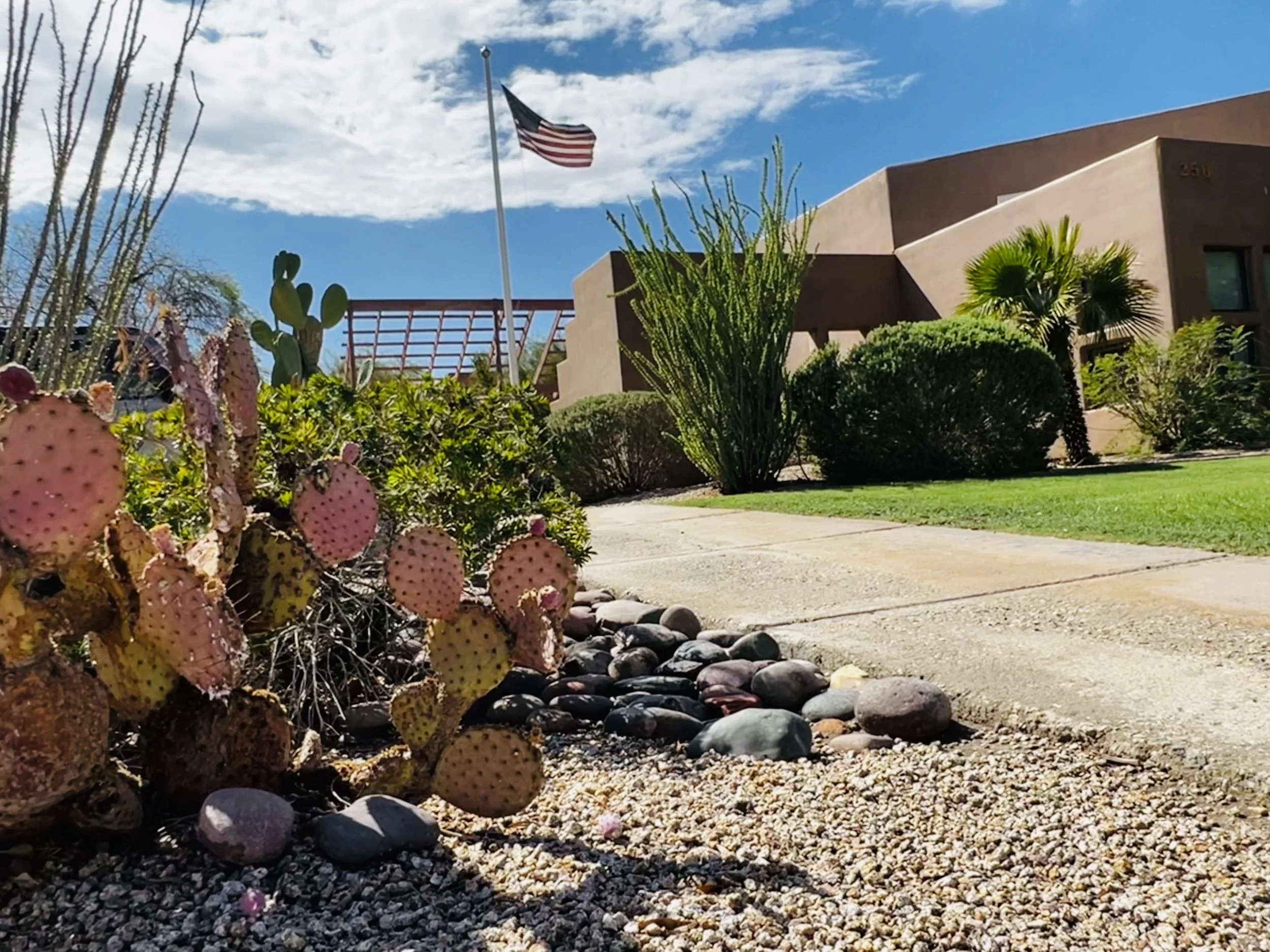 Art of Intelligent Minds