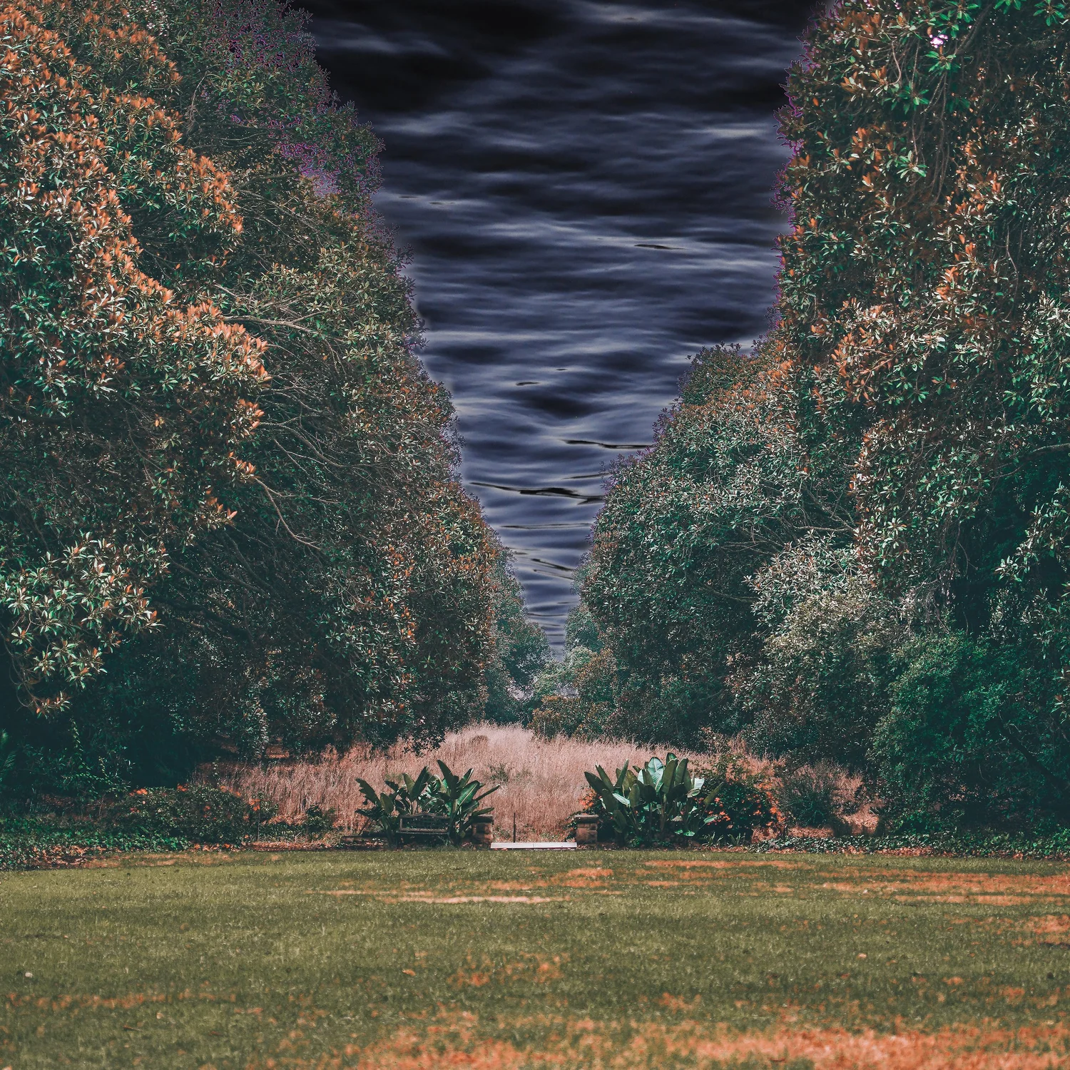 Maxton Hunter | Explore Music & Collaborations Today