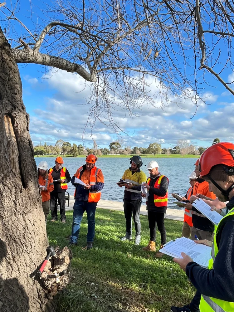 Events — Arboriculture Australia