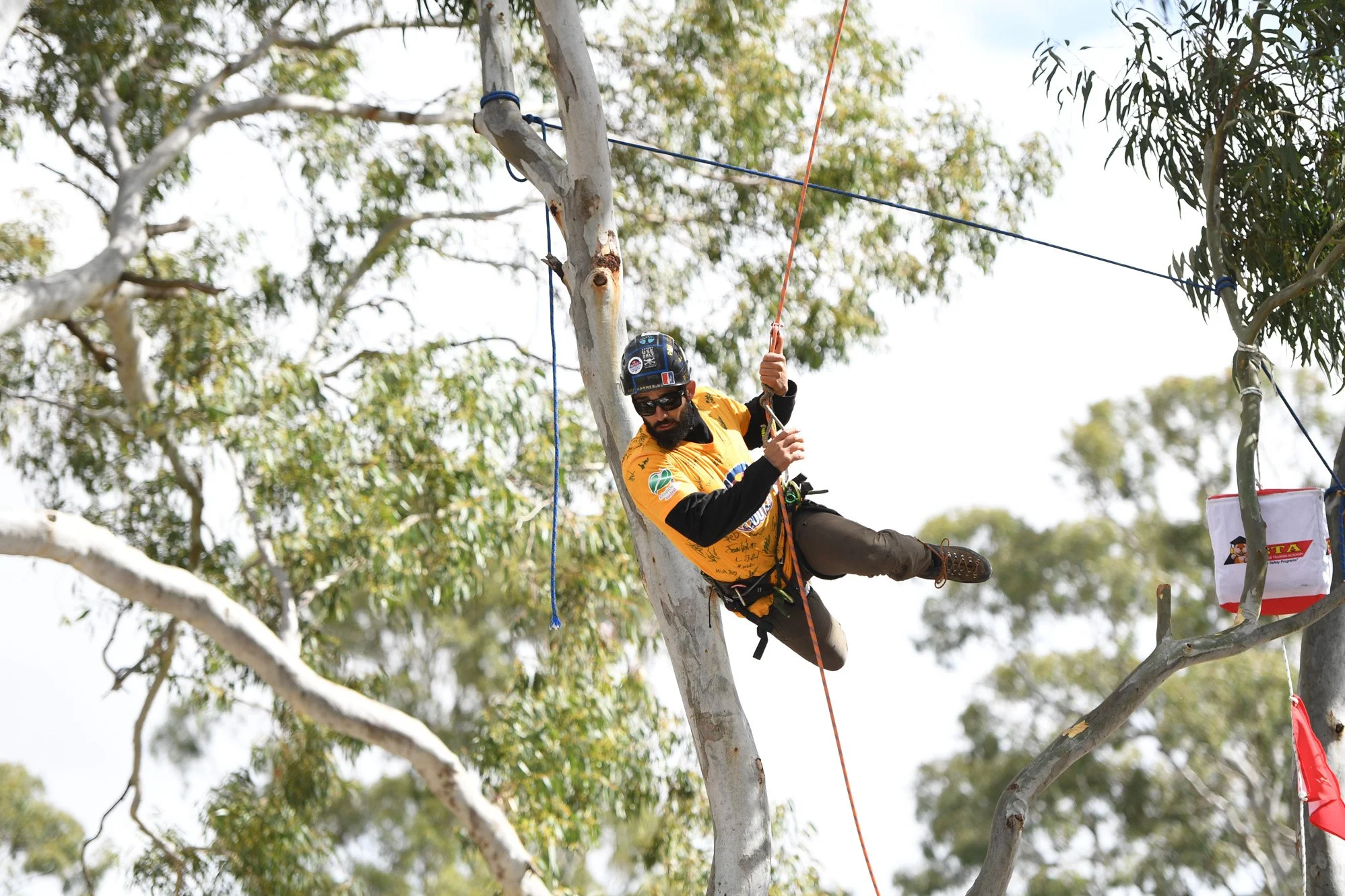 Events — Arboriculture Australia