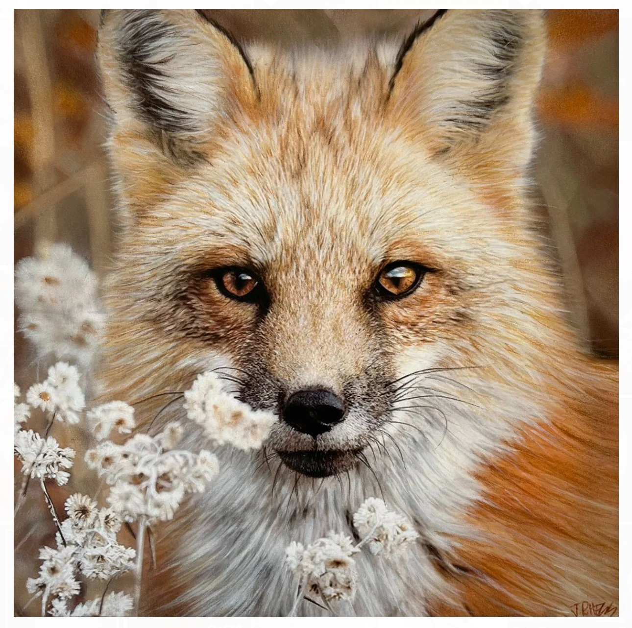 The Art of J.R. Hess