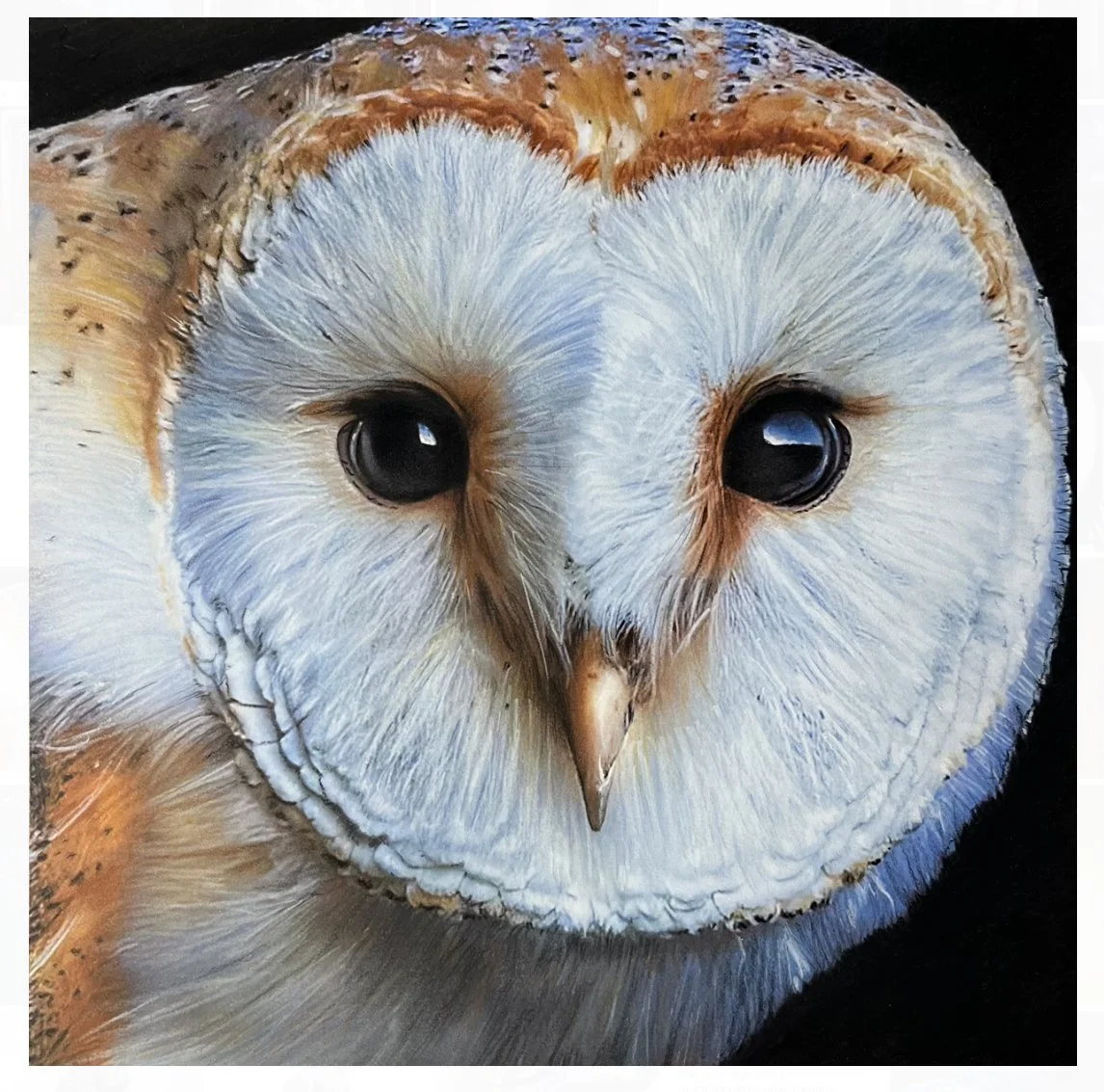 The Art of J.R. Hess