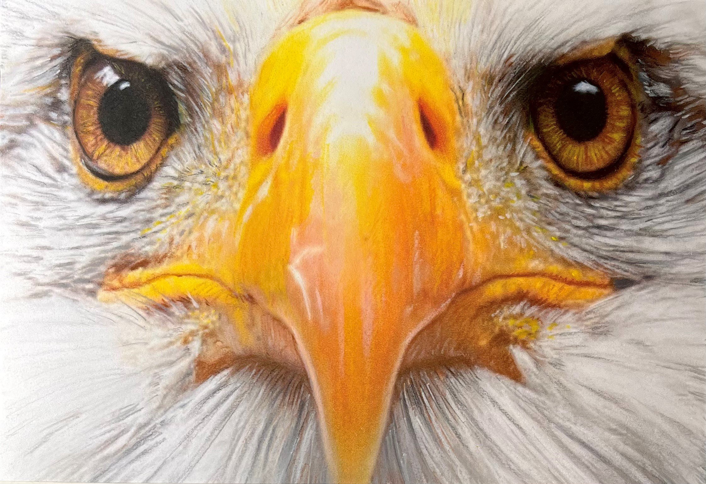 The Art of J.R. Hess