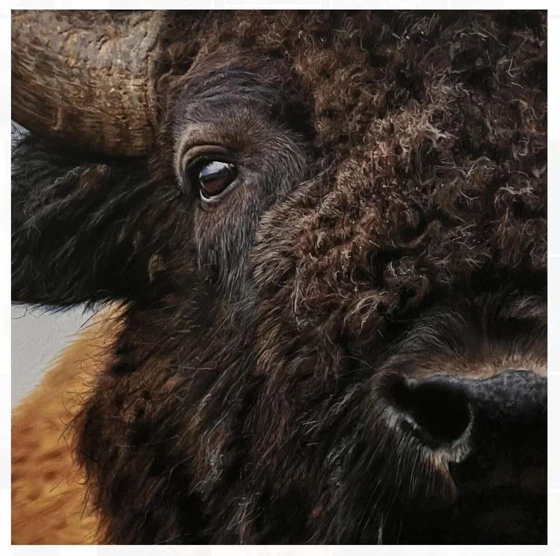 The Art of J.R. Hess