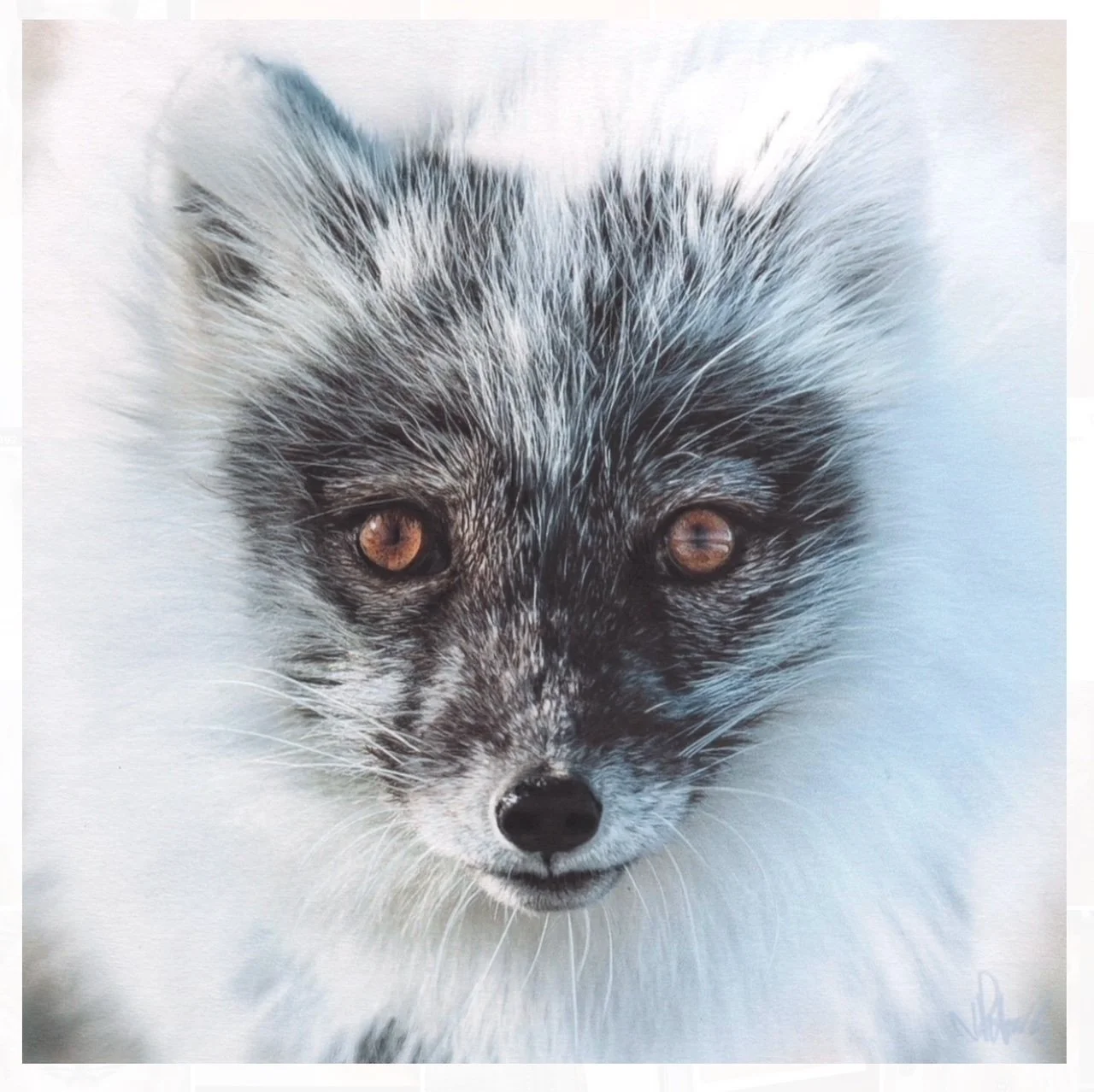 The Art of J.R. Hess