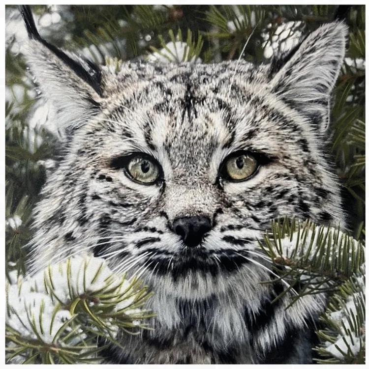 The Art of J.R. Hess
