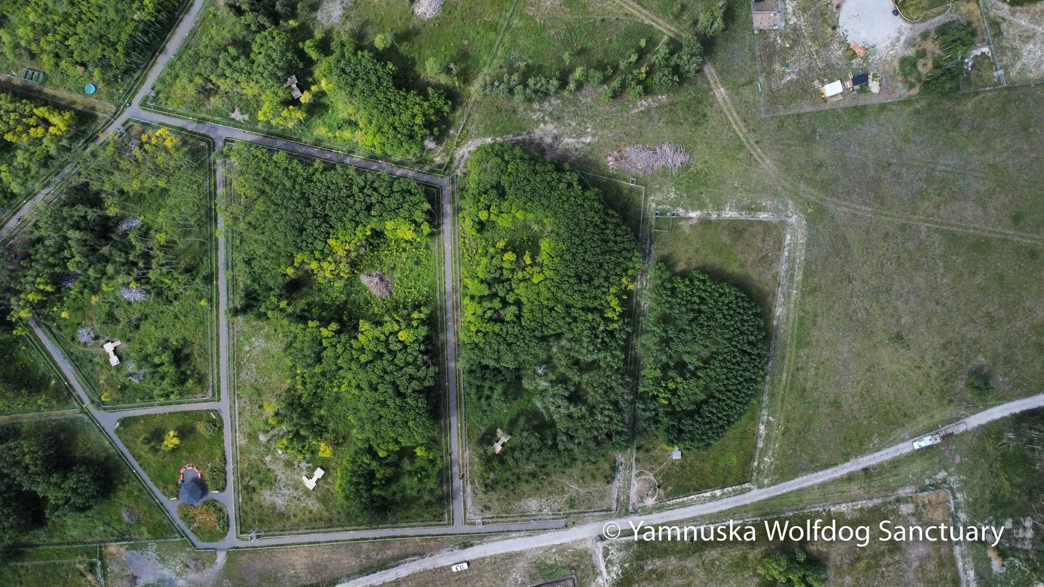 How to Build Proper Containment for a Wolfdog — Wolfdog Awareness