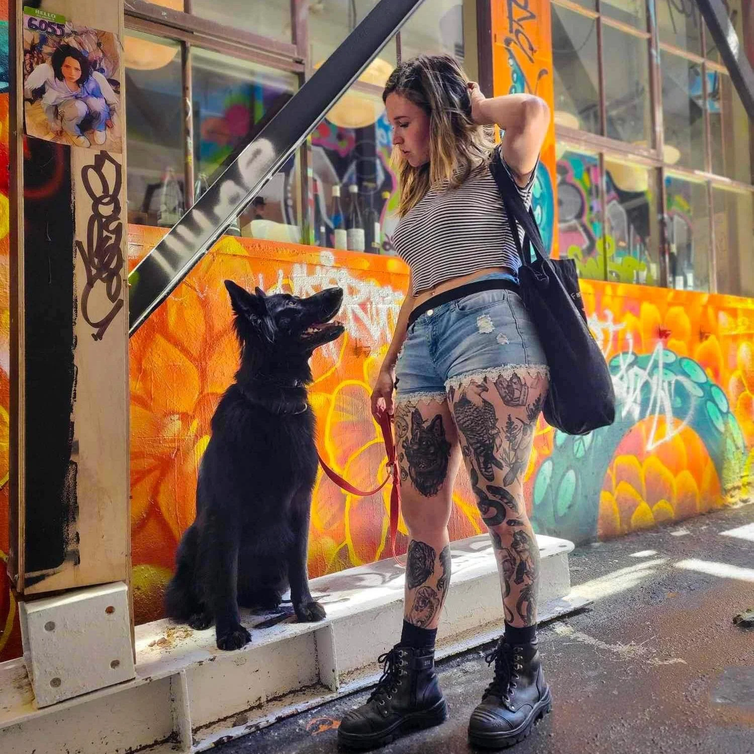 Meet the Trainers — Southern Cross K9