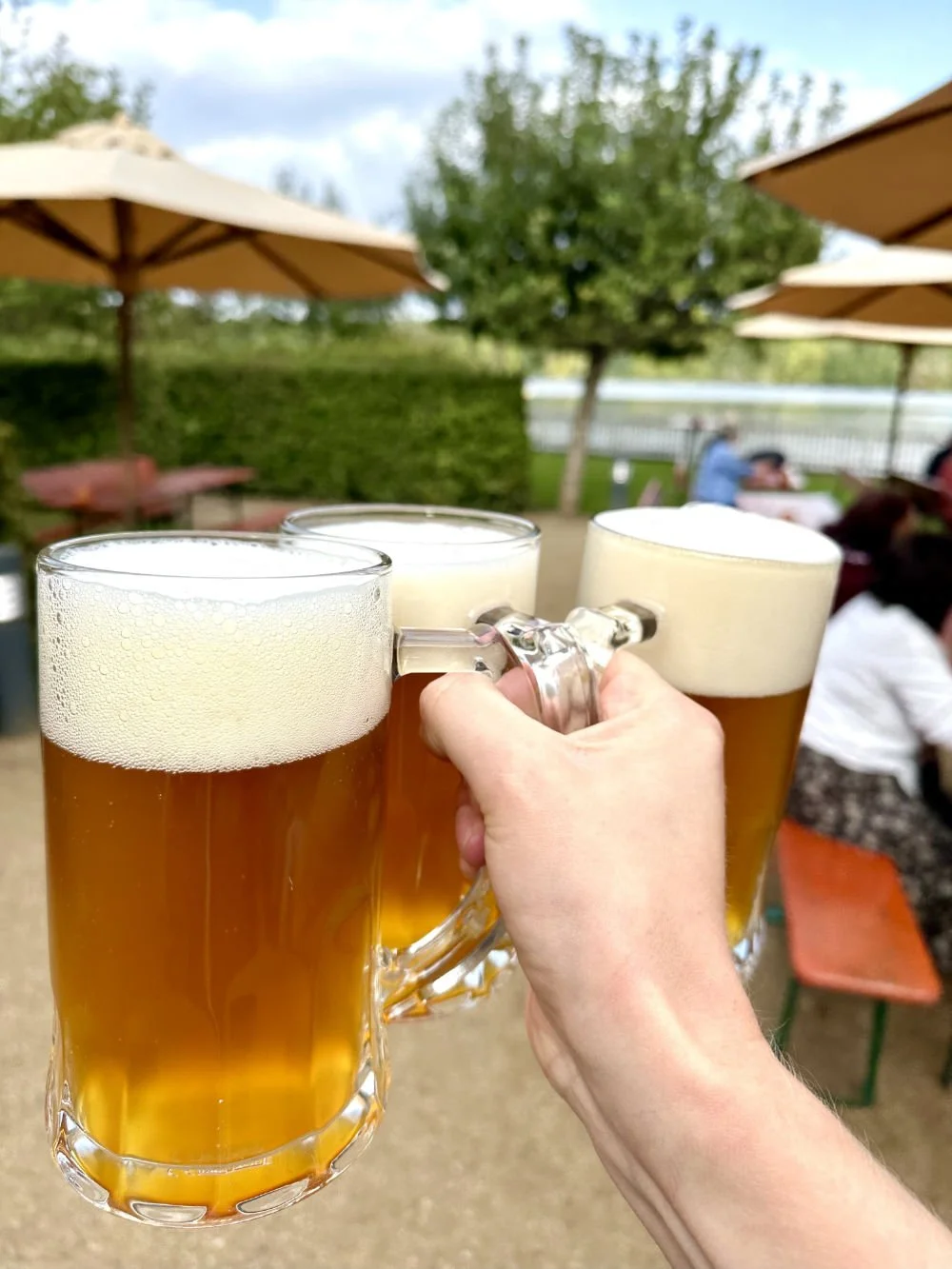 The Ultimate Guide to Beer Gardens in Berlin: 33 Berlin Beer Gardens ...