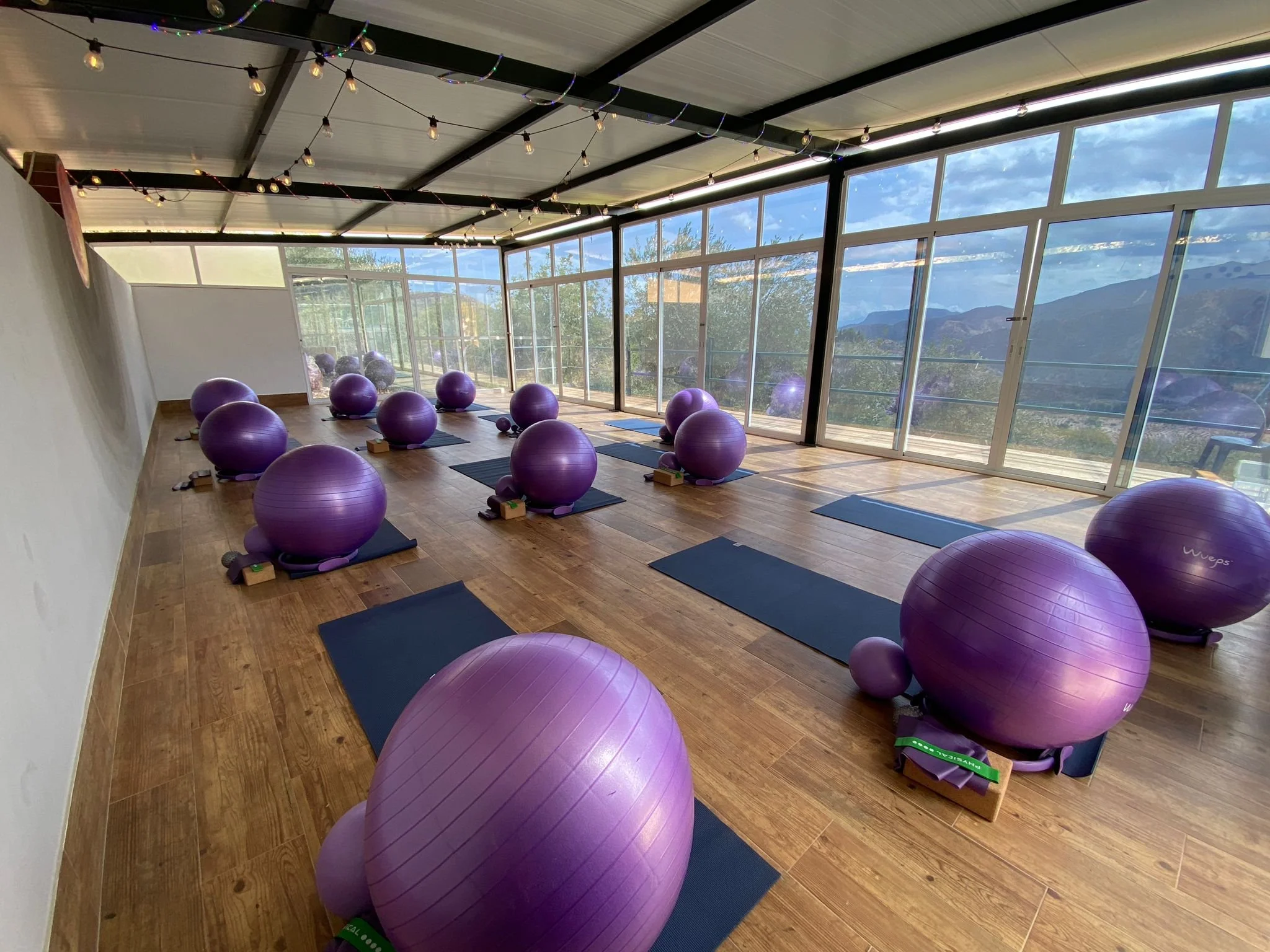 Bryony's Pilates | Reformer & Mat Pilates in Whitton, Chiswick & Online ...