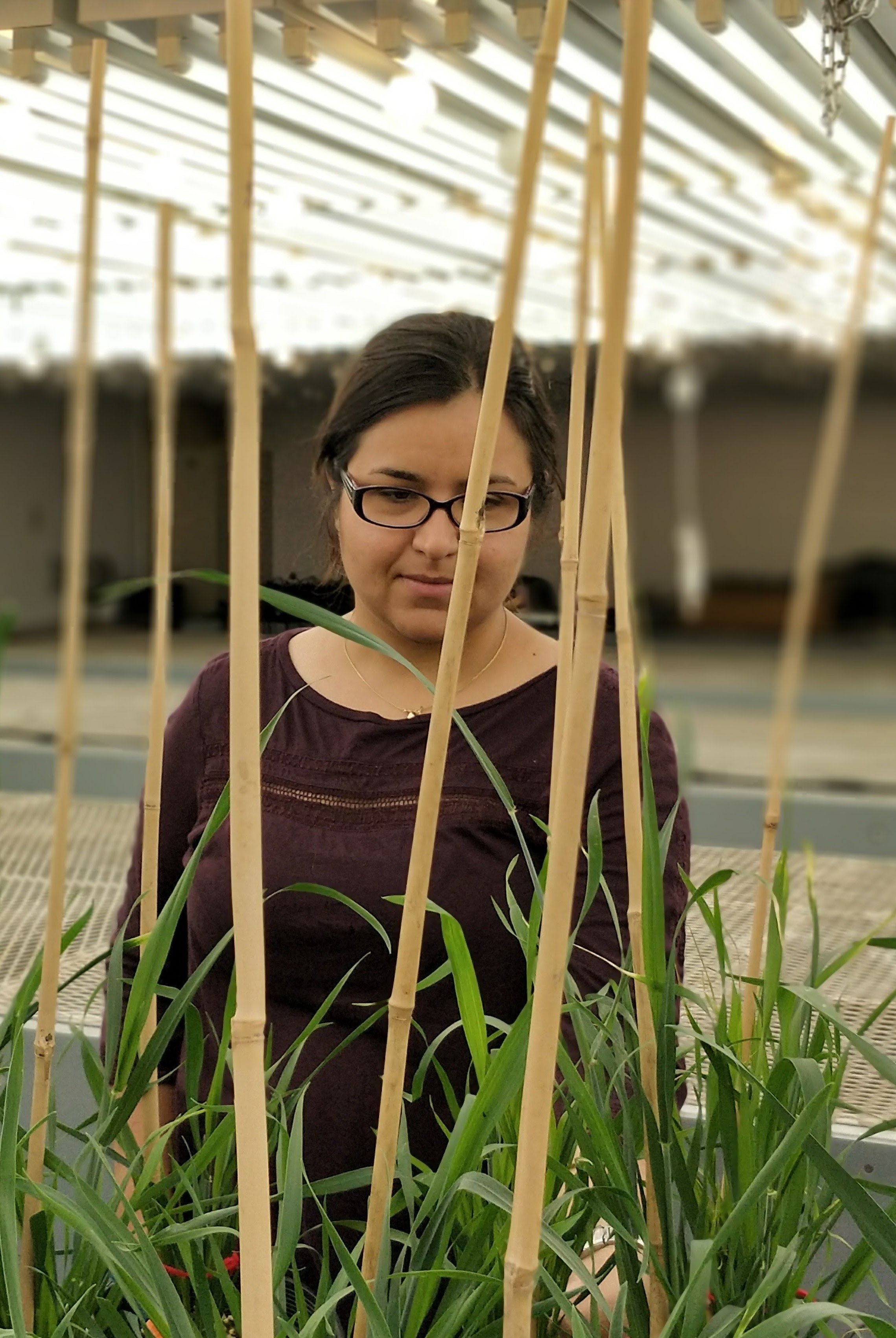 Who we are — Bernhardt Lab