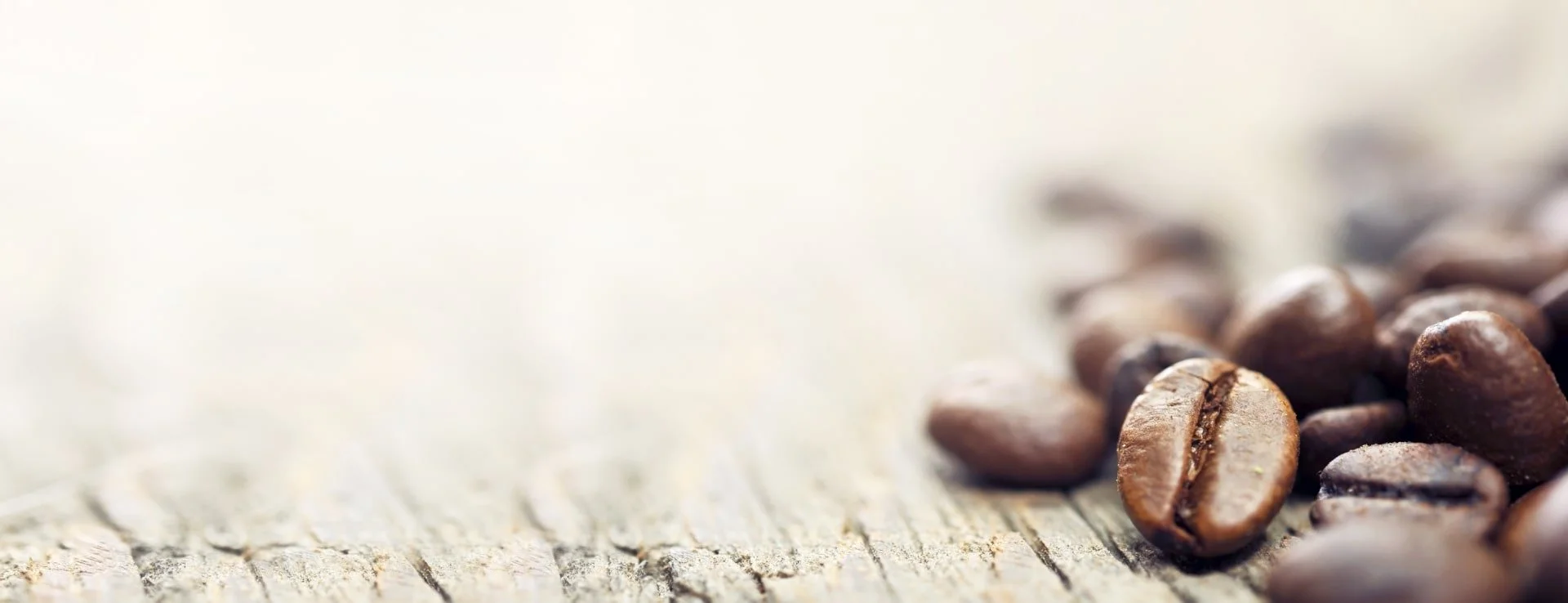 Local Coffee Shop | Conshohocken | 'Feine Coffee