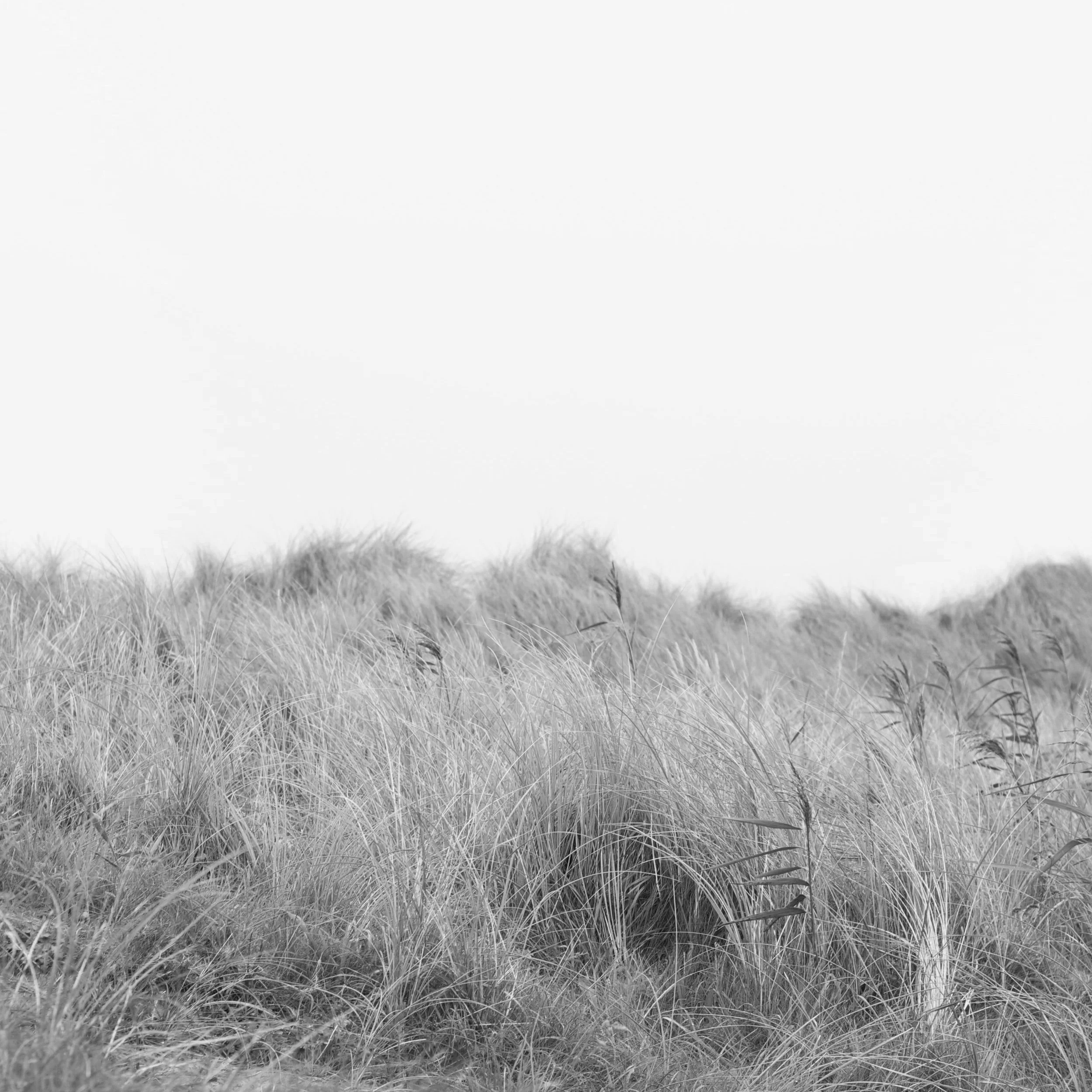 Bánóg Irish Dance: Online Learning Platform for Traditional Irish Dances