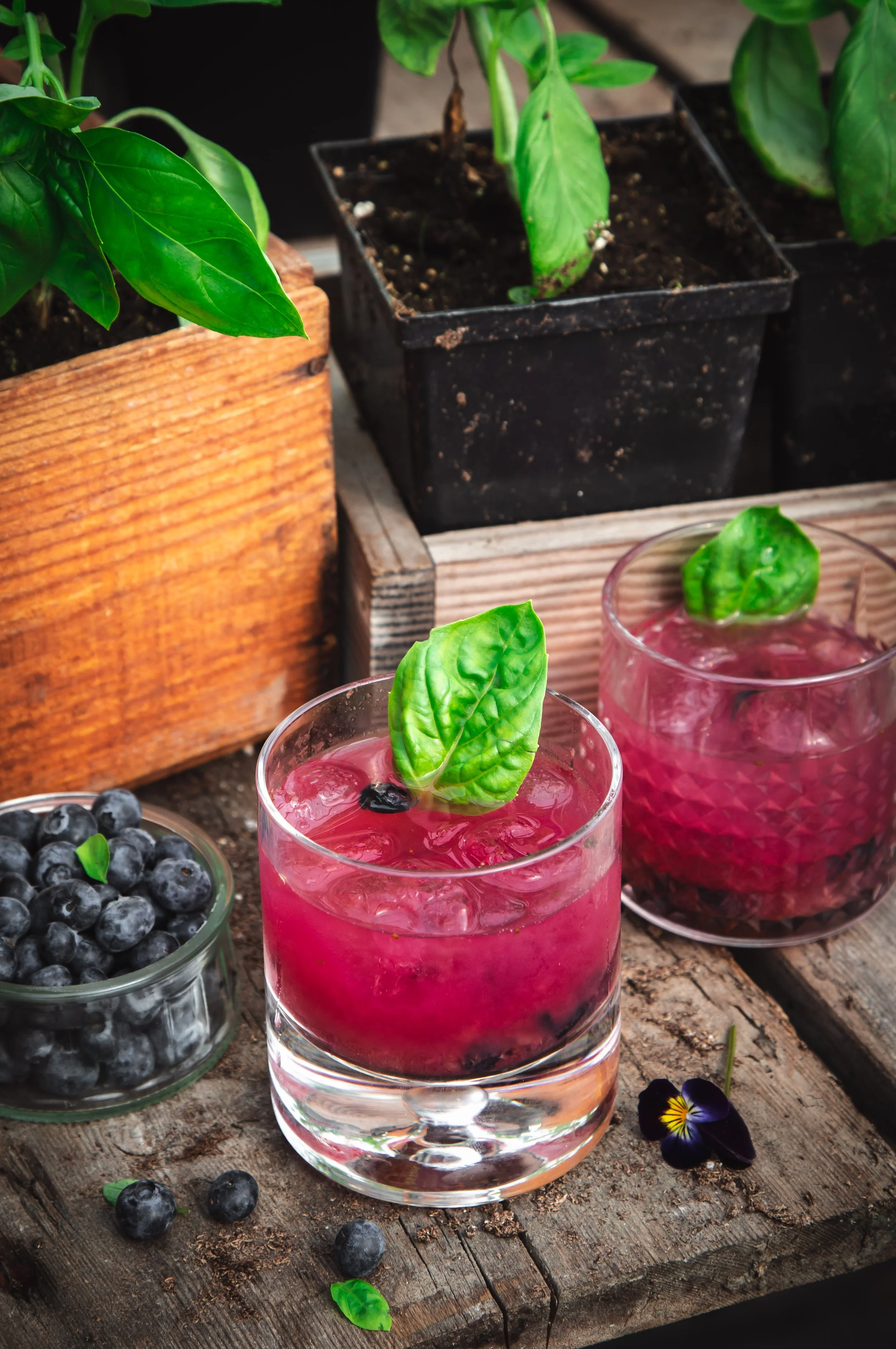 blueberry-sour cherry smash — Frost Bites Syrup Co.