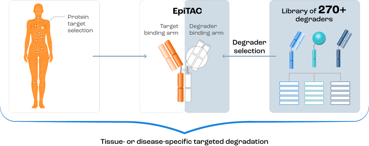 Our Science — EpiBiologics