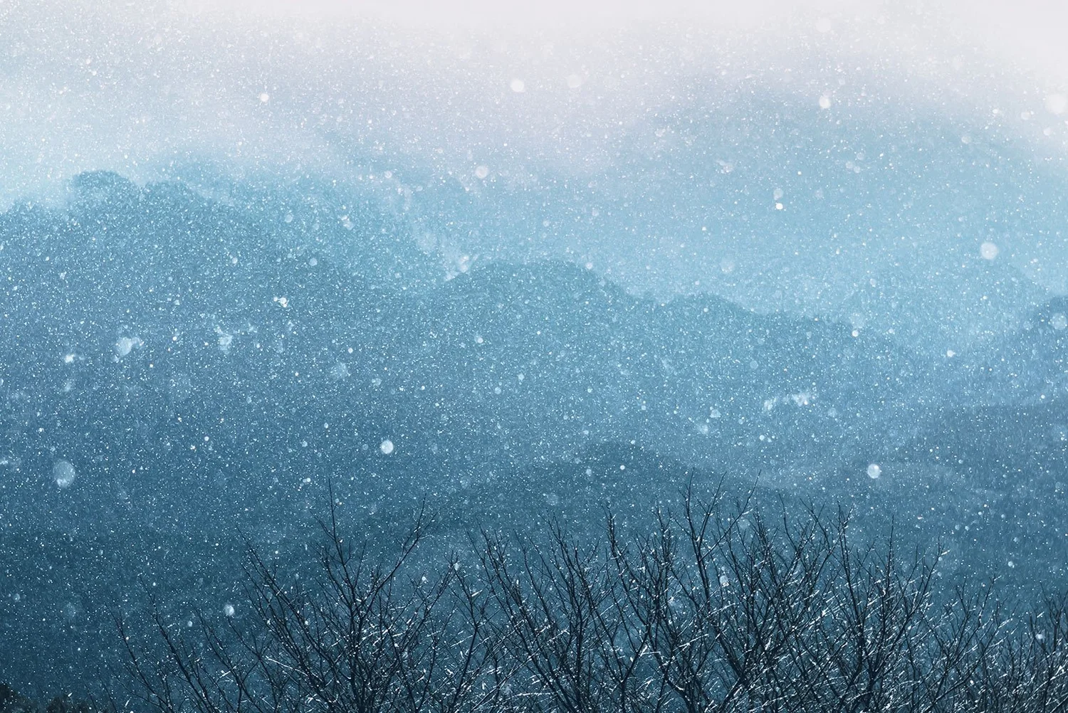 Winter Color Palette Ideas for Your Brand Personality