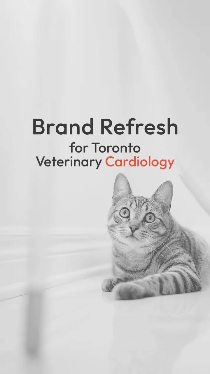 Easy to read fonts: 10 best clean fonts for your website