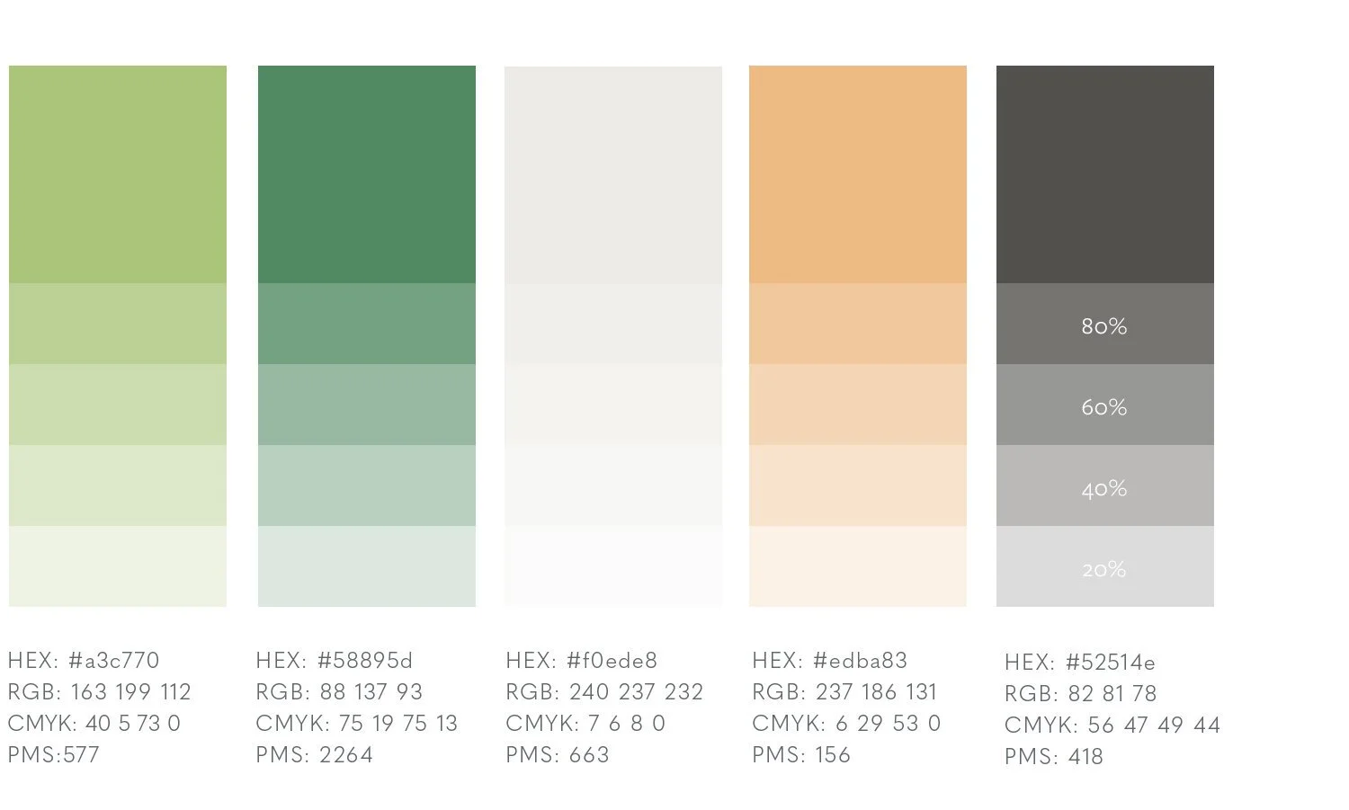 Building a Brand Style Guide: How to Create Your Color Palette