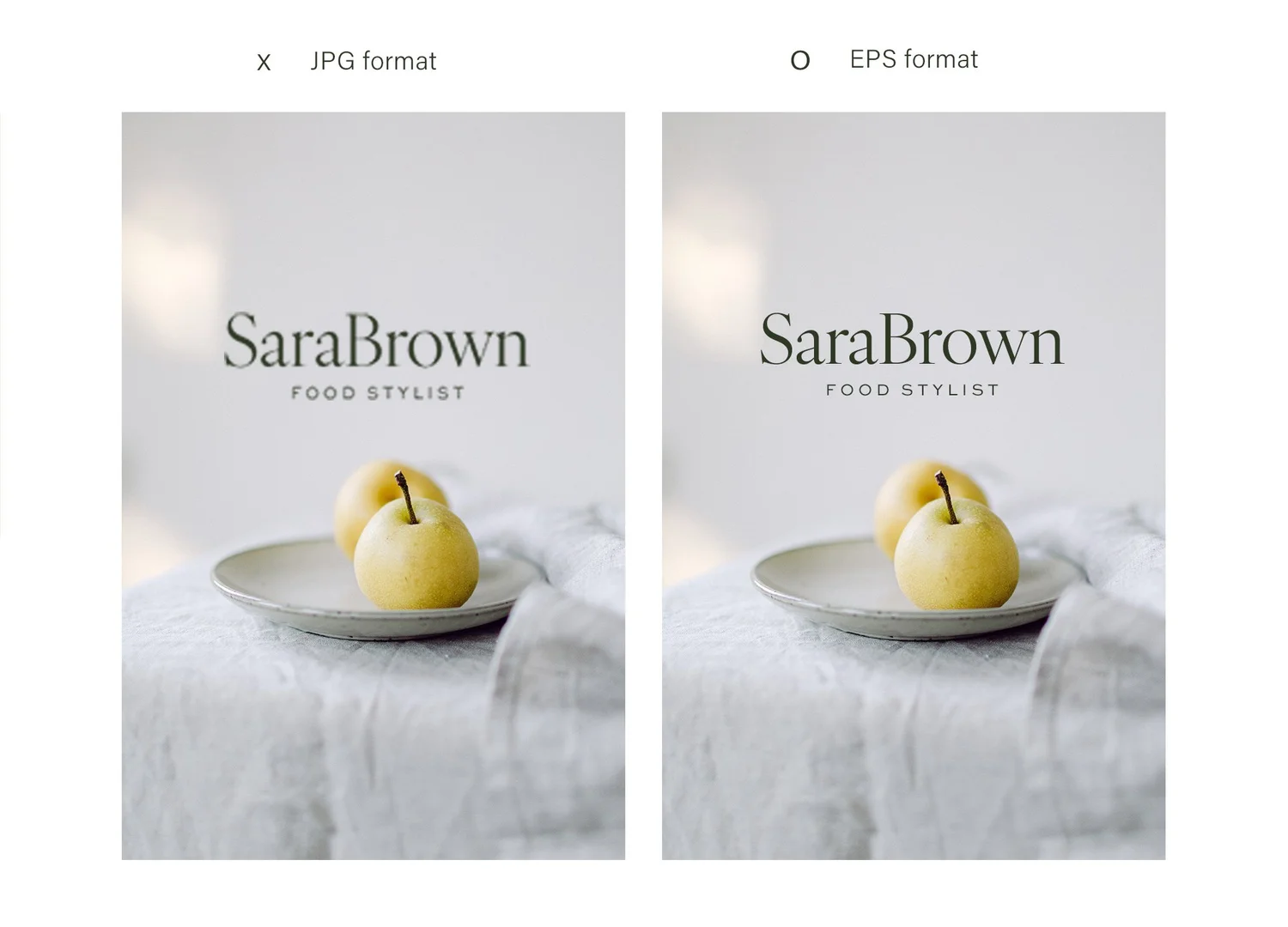 5 Logo File Formats You Should Have for Your Marketing
