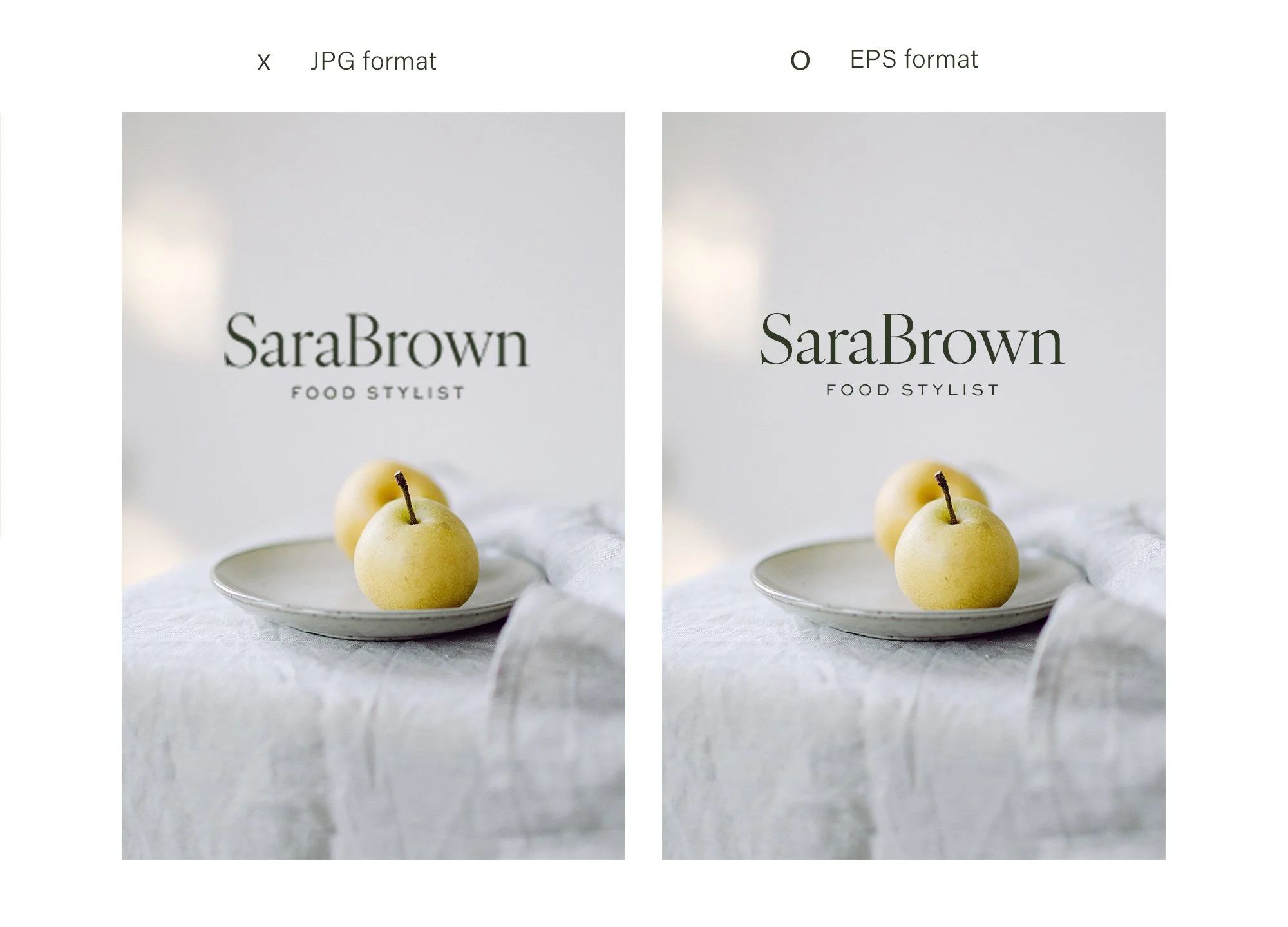 5 Logo File Formats You Should Have for Your Marketing