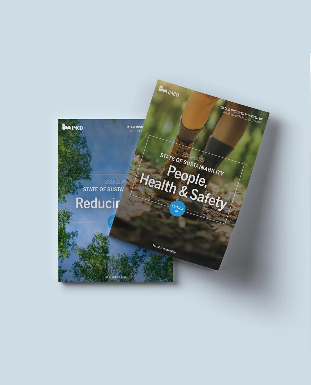 Visual Report Design Services