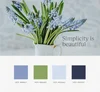 Spring Color Palette Ideas for Your Brand Personality