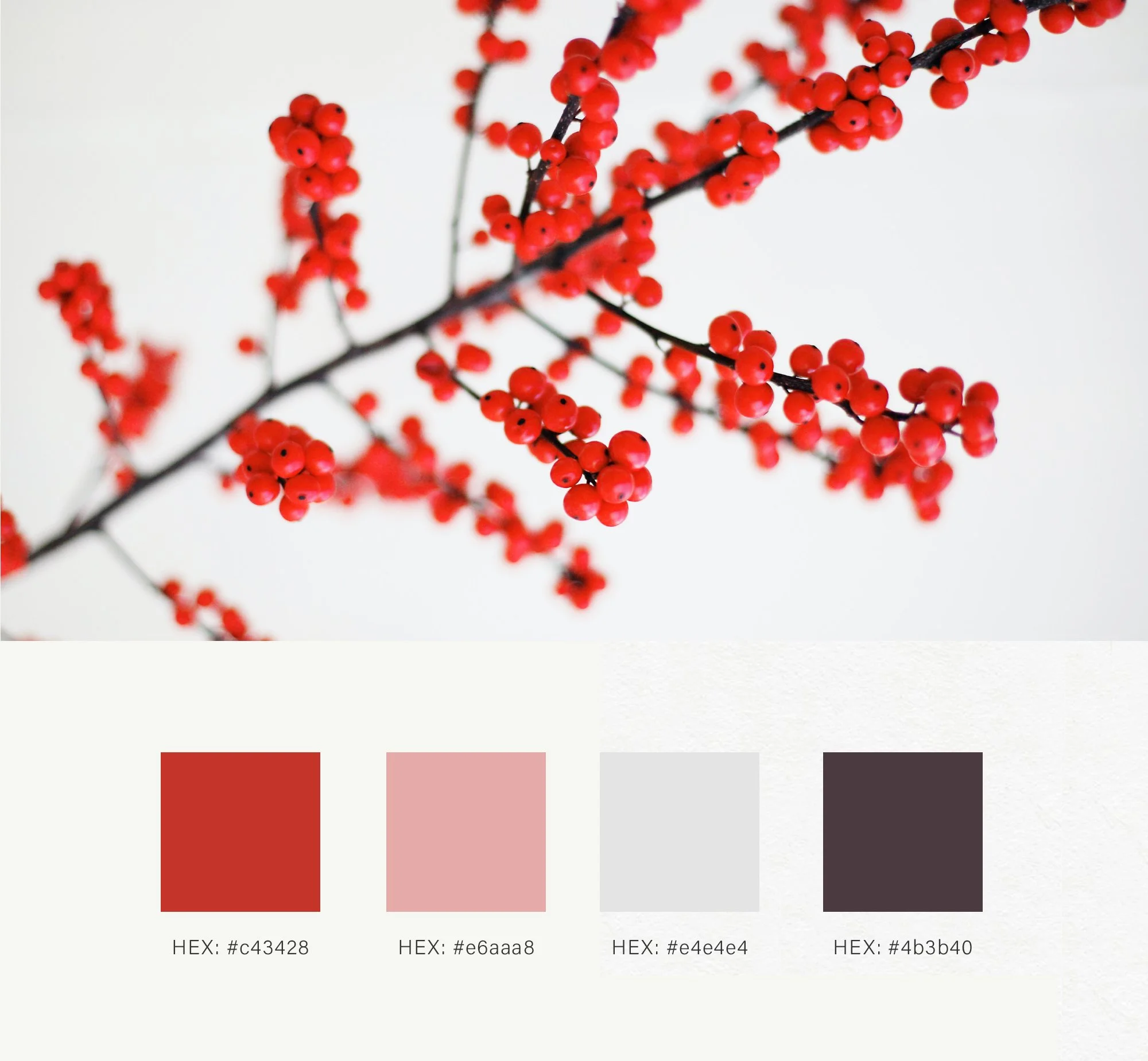 Winter Color Palette Ideas for Your Brand Personality