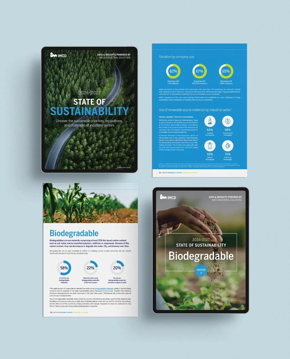 Visual Report Design Services