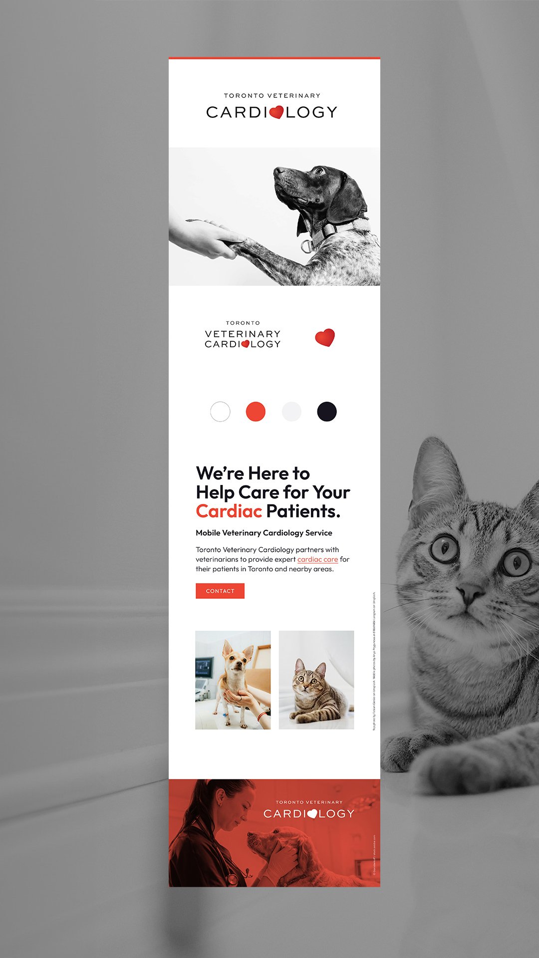 How a Brand Board Helps Your Small Business Stay Consistent