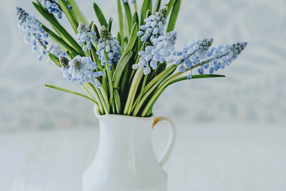 Spring Color Palette Ideas for Your Brand Personality