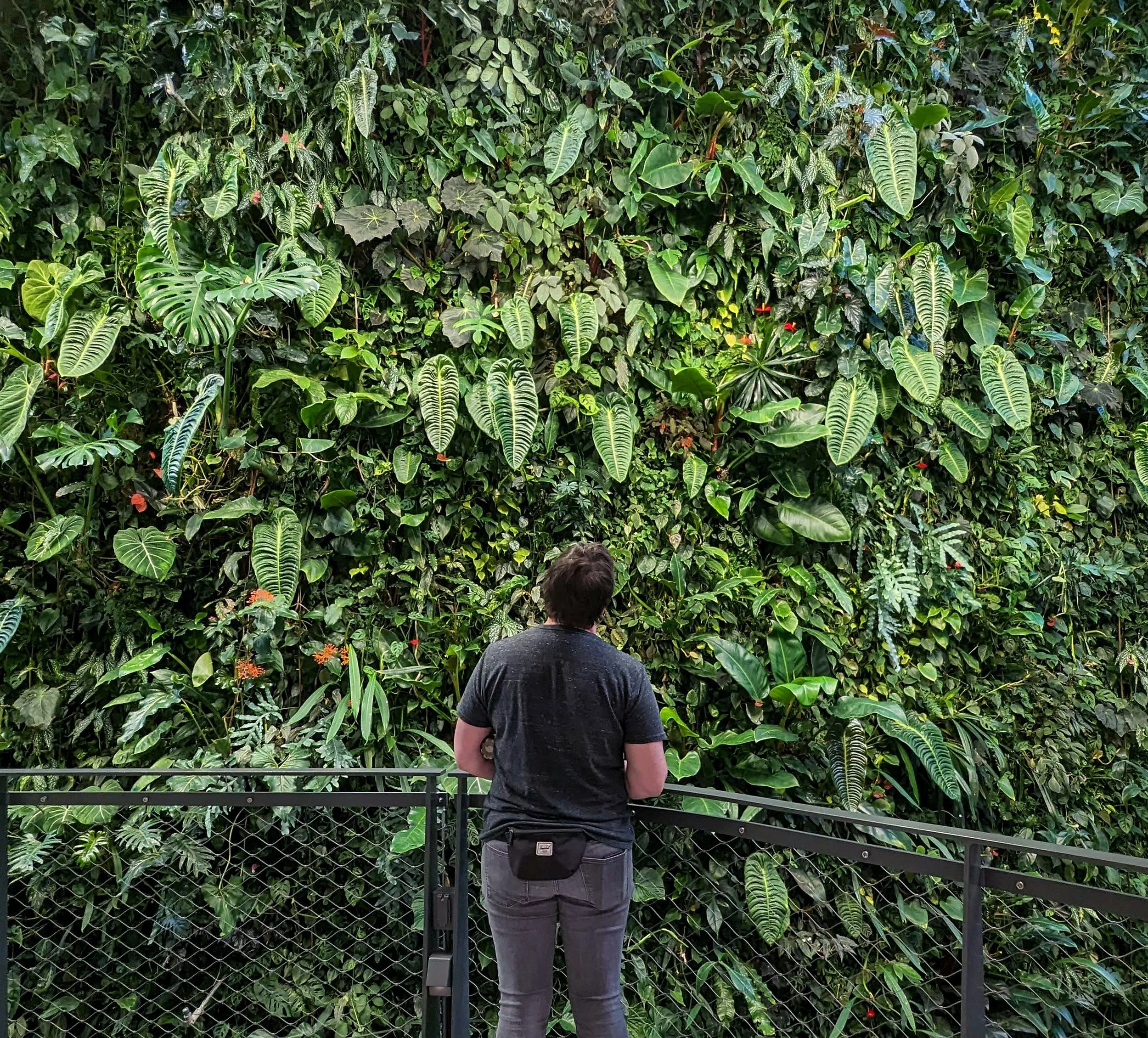 About 1 — Obi Plants