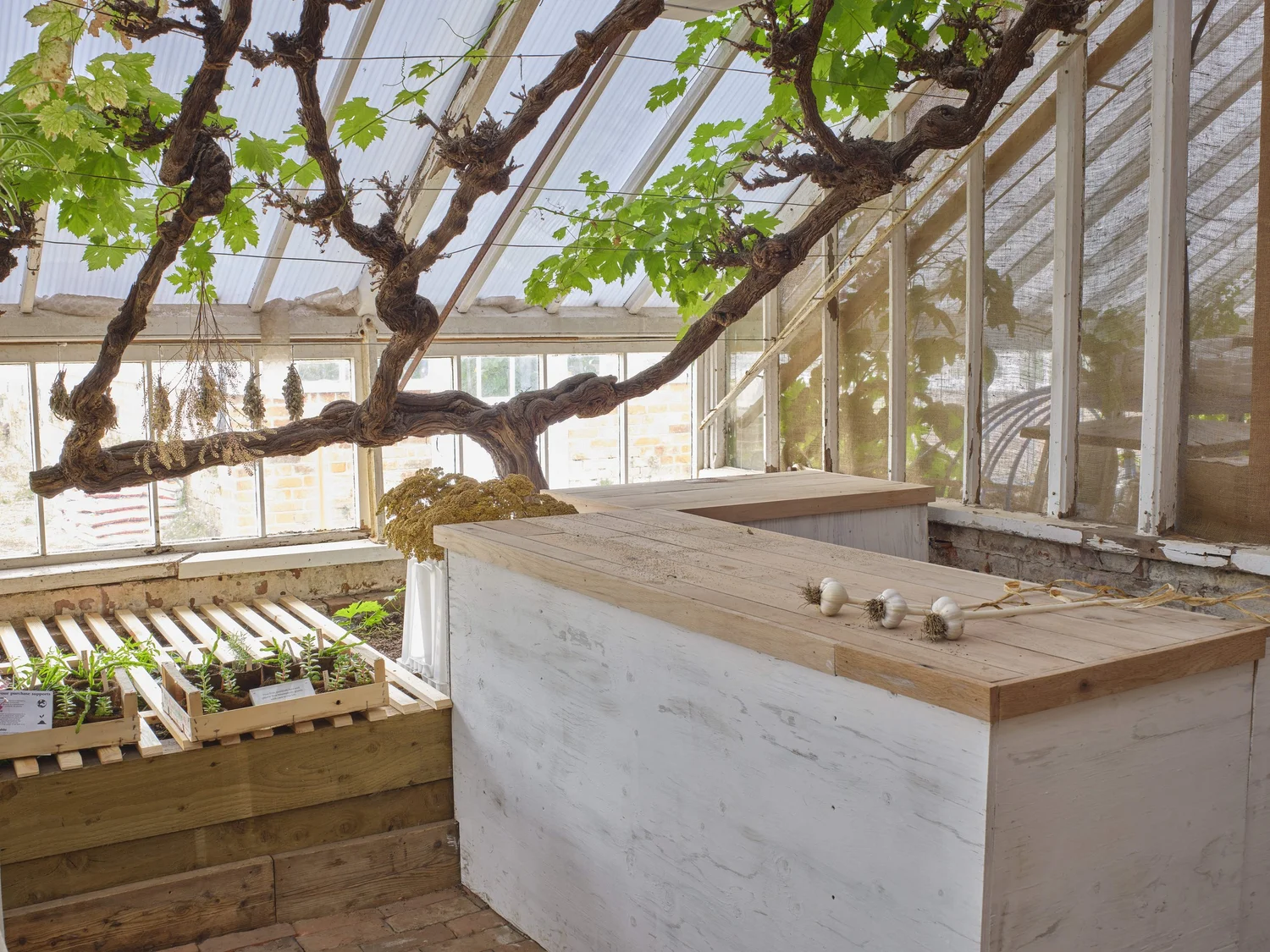 Idyllic Walled Garden — CHL