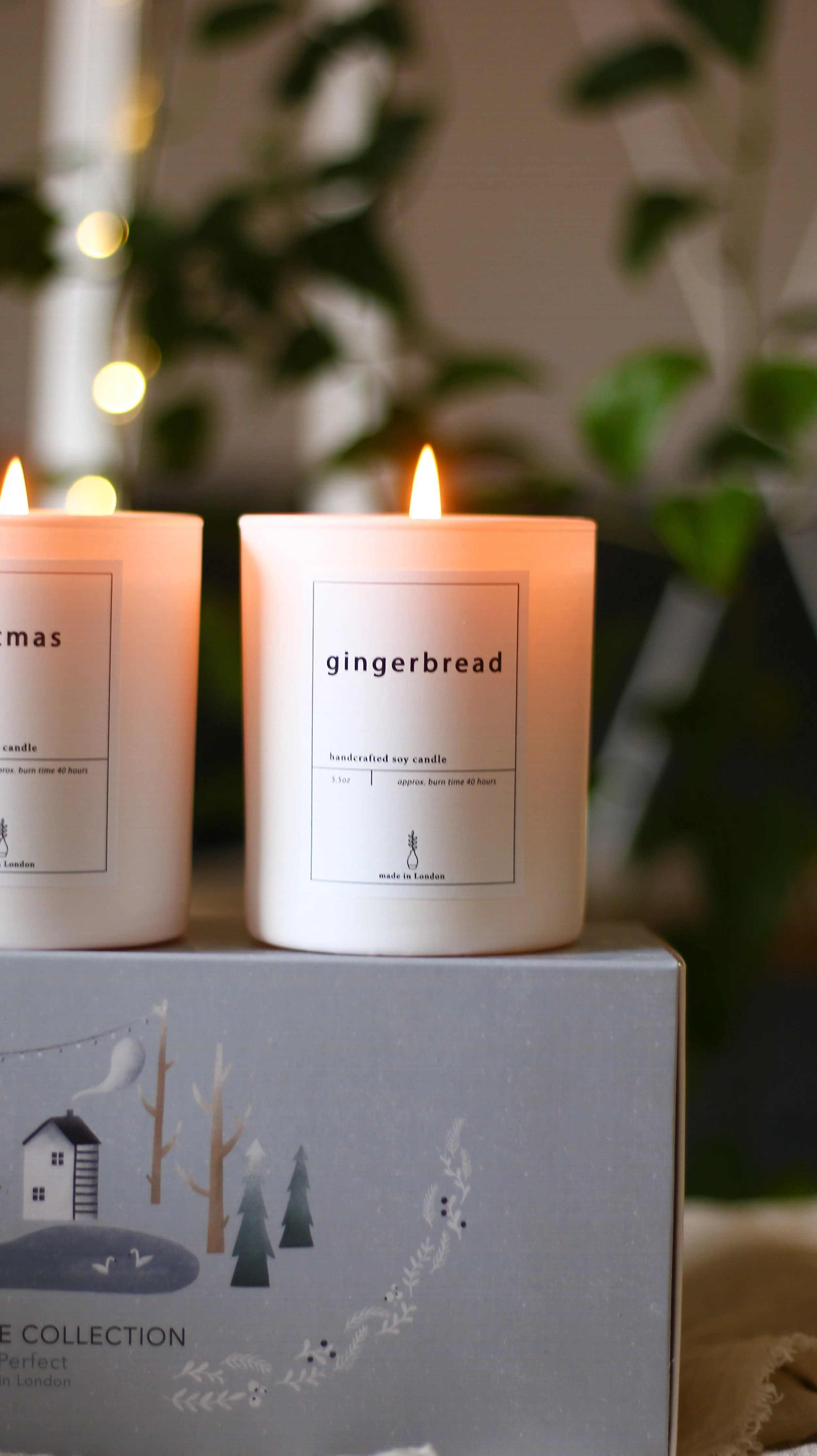 Winter Candle Collection | Den Perfect | Soy Candles, Reed Diffusers ...