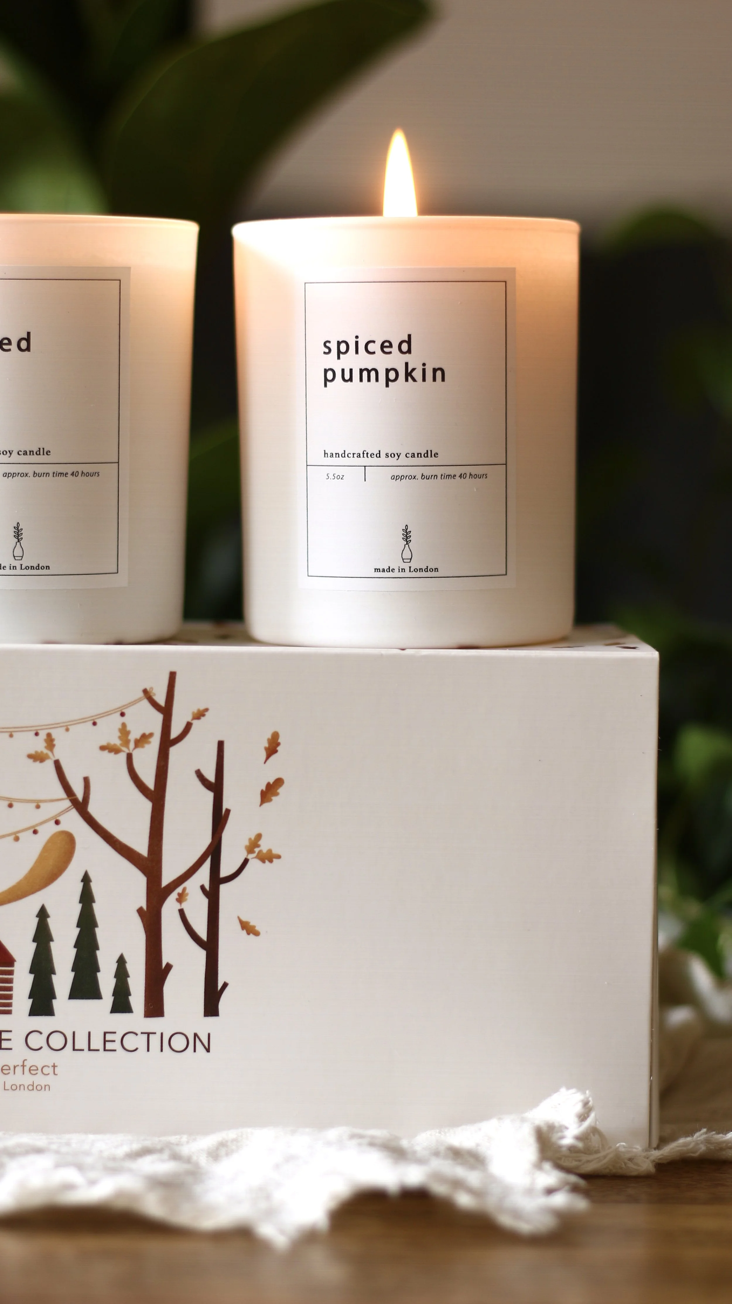 Autumn Candle Collection | Den Perfect | Soy Candles, Reed Diffusers ...