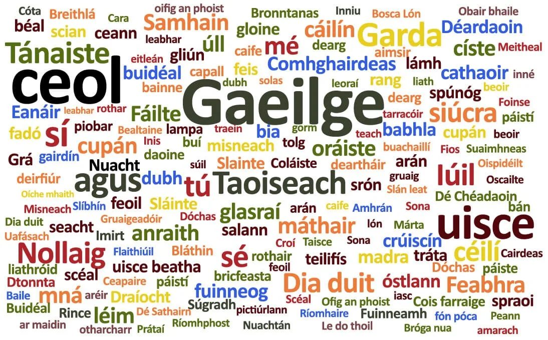 Seachtain na Gaeilge 2025 at UCC — UCC Express