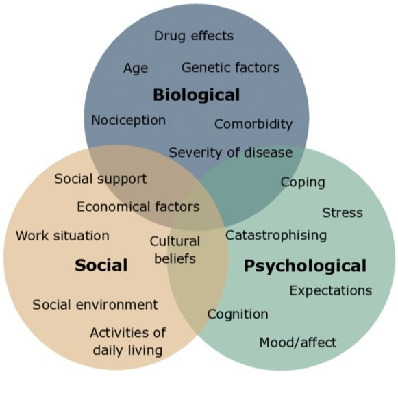 PAIN 101: An introduction to the biopsychosocial model — White Lion ...