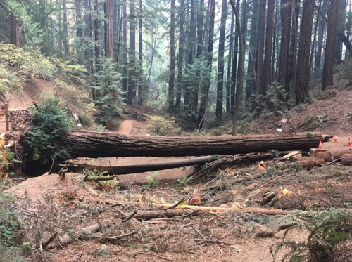 Project Spotlight: Tres Sendas Bridge — Trail Crew Stories