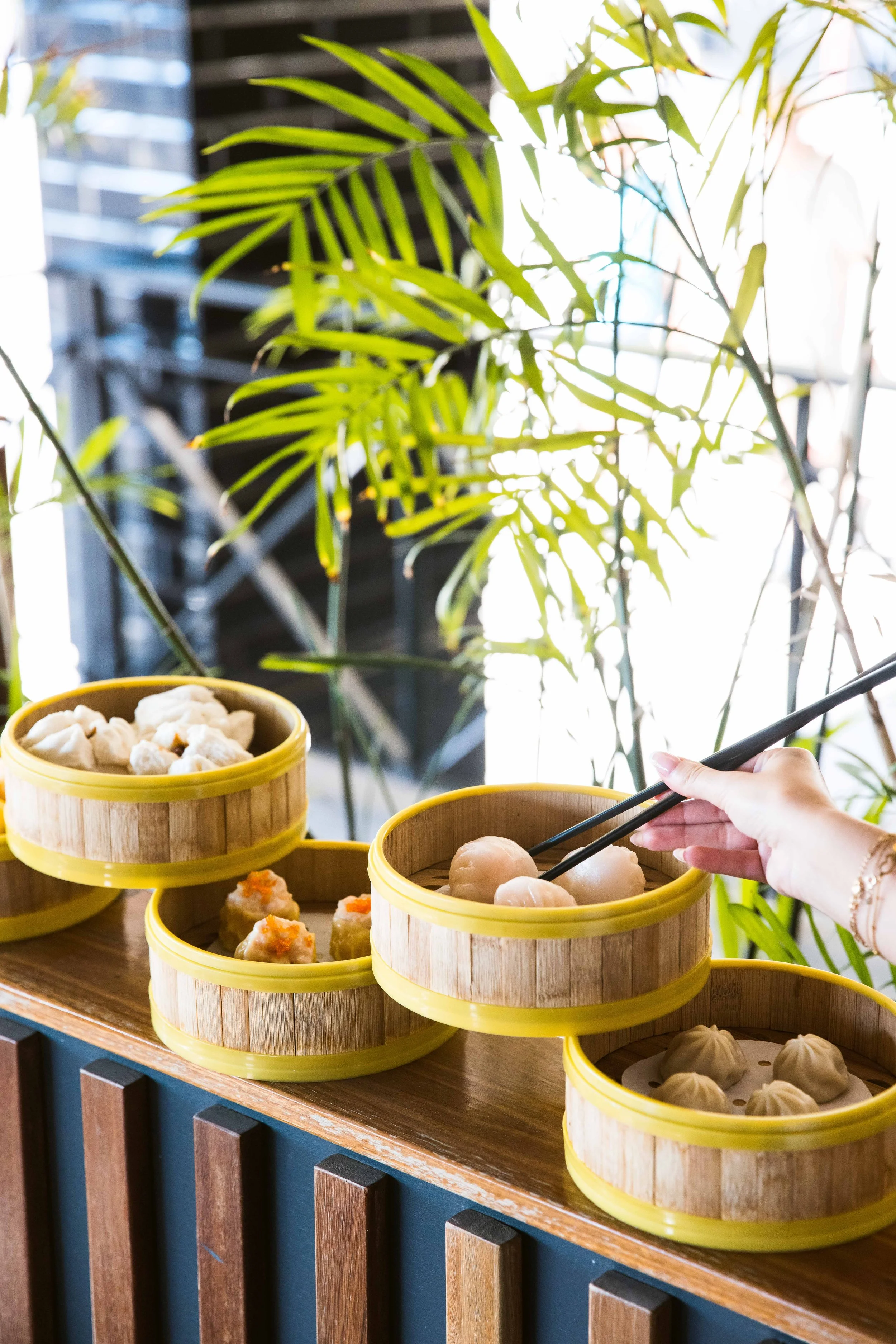 General 3 — China Panda Foodbar