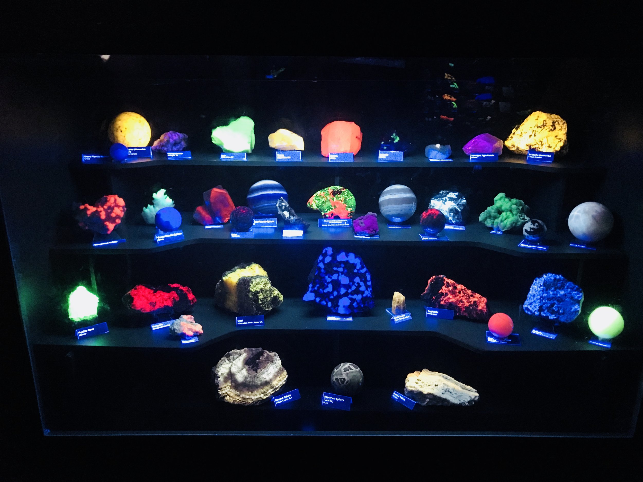 Rocks In A Hardplace