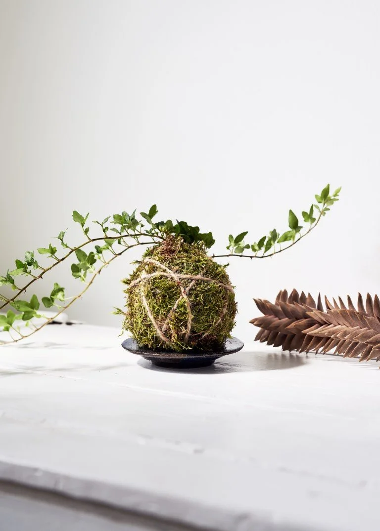 Virtual Kokedama team building Workshop — The Together Collective