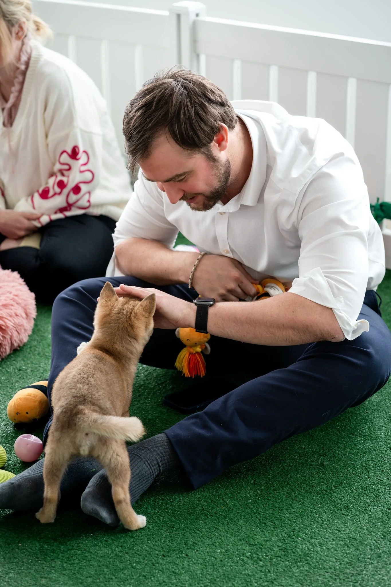 Puppy Therapy At Work — The Together Collective